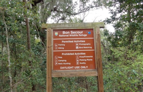 Bon Secour National Wildlife Refuge in Alabama Is So Beautiful