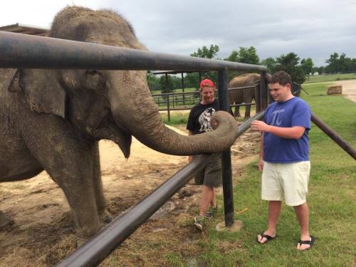 You’ll Never Forget A Visit To This Elephant Ranch In Oklahoma