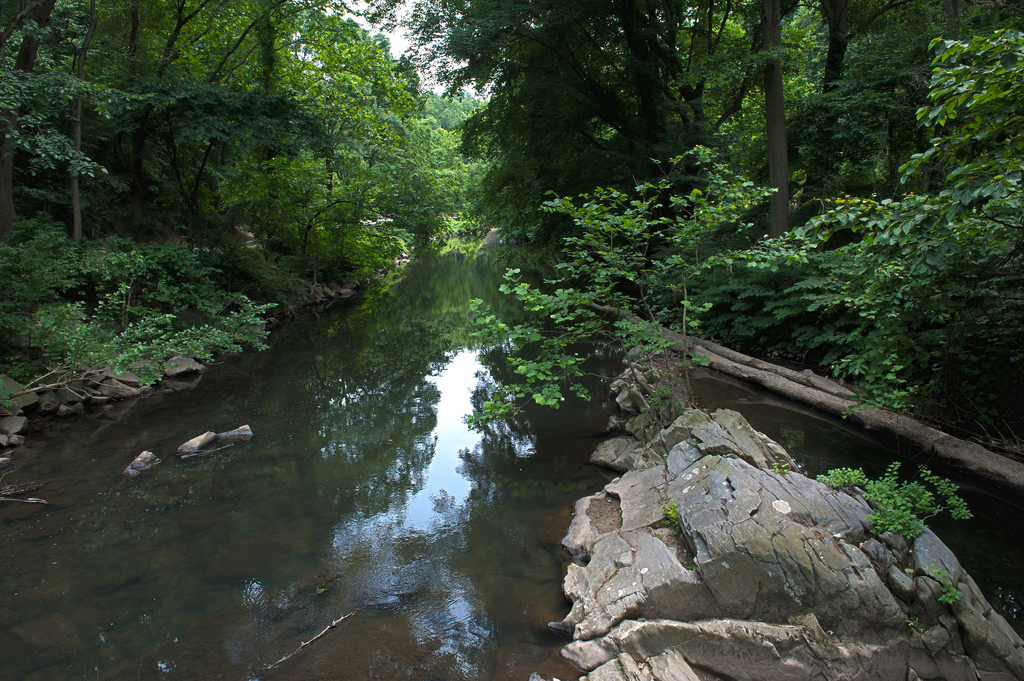 Rock Creek Park In DC Is A Top Outdoor Attraction