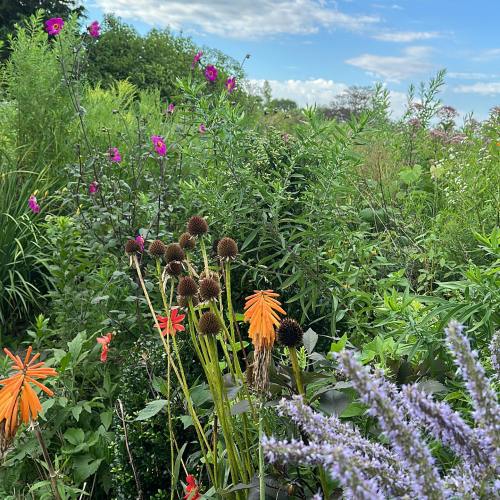 Sakonnet Garden: Secret Garden In Rhode Island