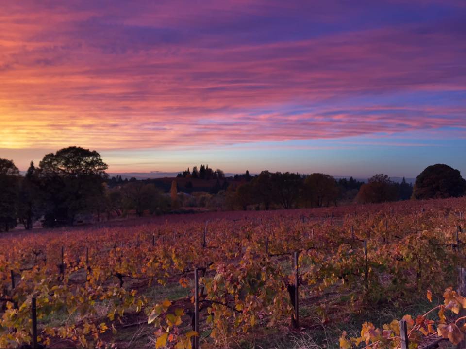 Madrona Vineyards Is Among Greatest Day Trips In Northern California
