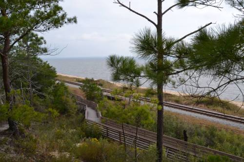 Top 13 Scenic Drives in Florida for Unforgettable Road Trips