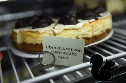 Harry Potter Festival In Ohio: Wizardly World of Kent Promises Fun