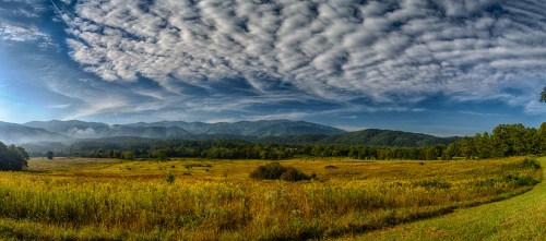 Top 11 Scenic Drives in Tennessee for Breathtaking Views