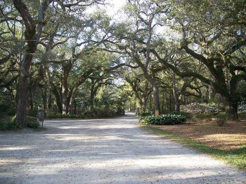 Top 13 Scenic Drives in Florida for Unforgettable Road Trips