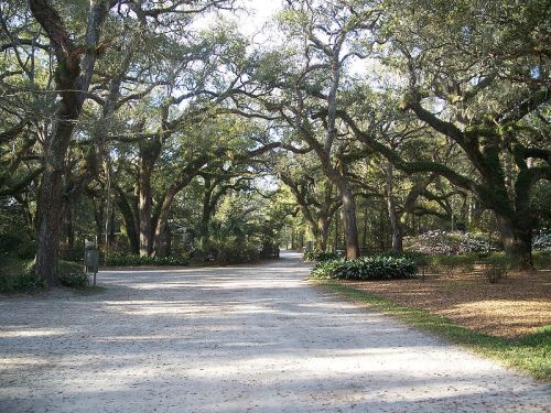 Top 13 Scenic Drives in Florida for Unforgettable Road Trips