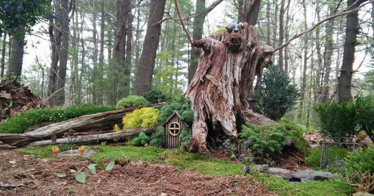 People Have No Idea There's A Fairy Garden In Massachusetts