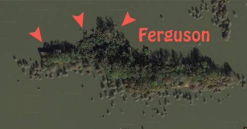 Ferguson, South Carolina: A Unique Underwater Ghost Town