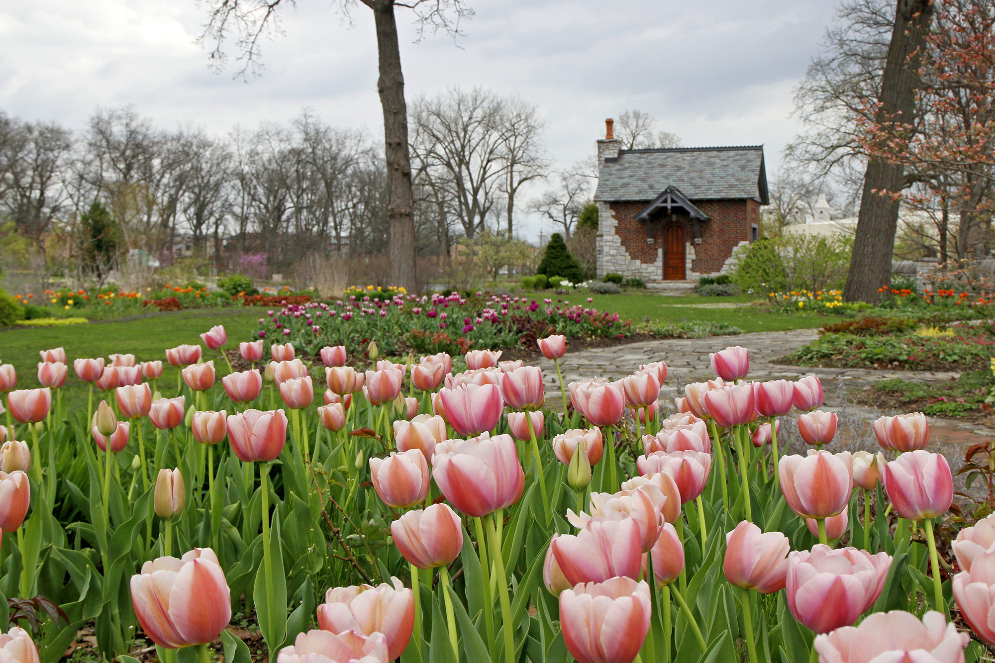 A Trip To Indiana’s Neverending Tulip Field Will Make Your Spring Complete