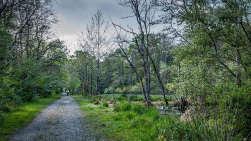 The 17 Best Day Trips In Delaware