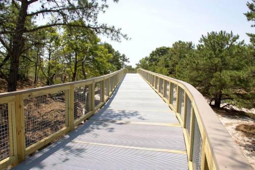 9 Best Hikes In Delaware Hikes Under 3 Miles You'll Absolutely Love