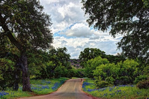 Backroads: Bes Scenic Drives In Texas