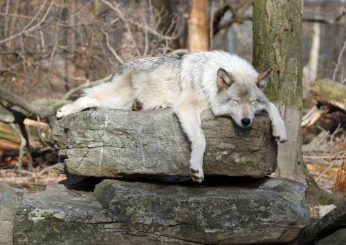 The 12 Very Best NJ Day Trips You Can Possibly Take