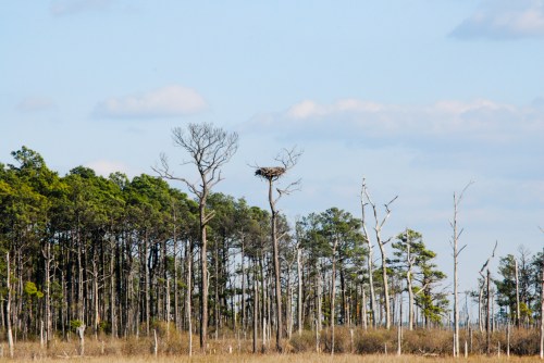 Hooper's Island Road Is Maryland's Most Scenic Road