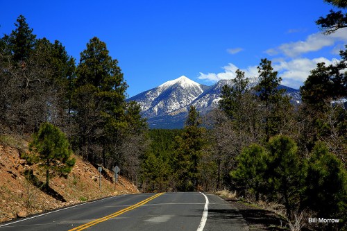 8 Very Best Scenic Drives In Arizona For A Sunny Day