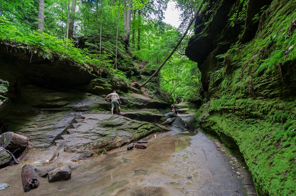 Trail 3 In Turkey Run State Park Is The Most Scenic Hike In Indiana