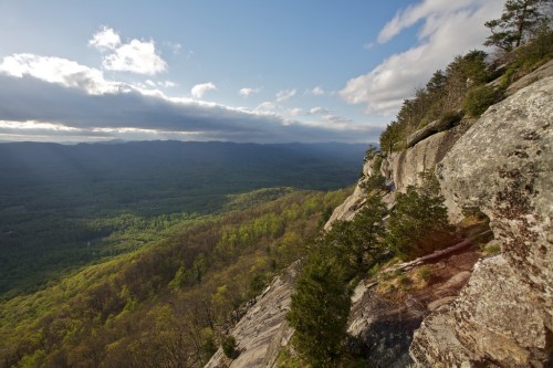 Ultimate North Georgia Road Trip: Waterfalls, Wine, and Scenic Views