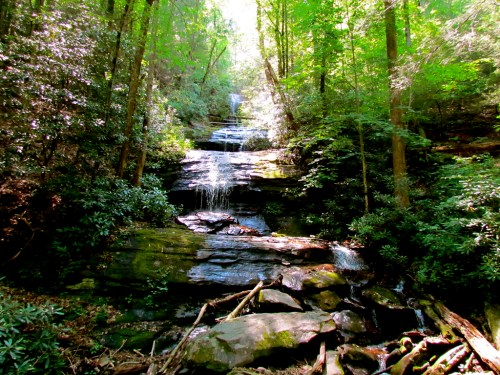 Ultimate North Georgia Road Trip: Waterfalls, Wine, and Scenic Views