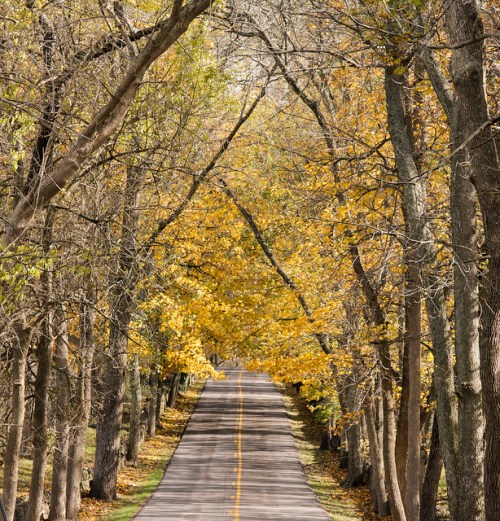 Best Scenic Drives in Kentucky: Top 9 Routes to Explore