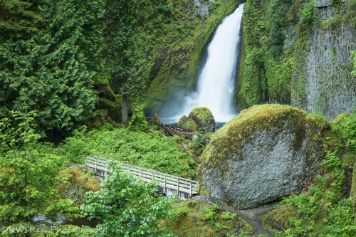 The 13 Best Summer Hikes In Oregon