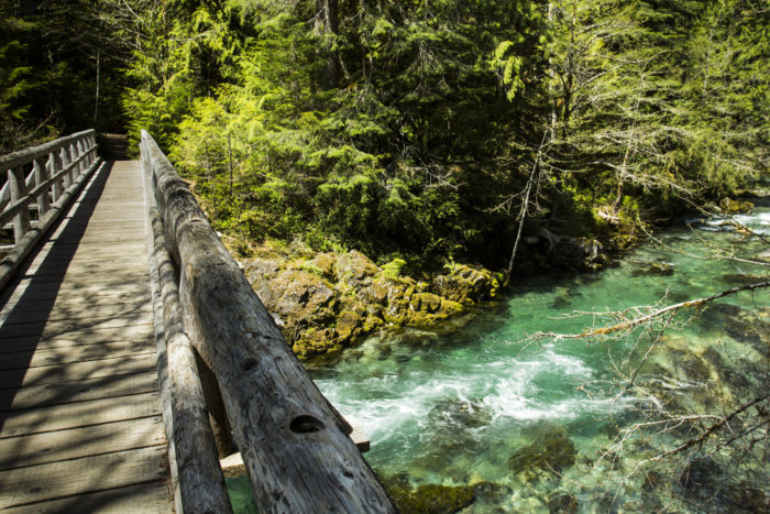 The 13 Best Summer Hikes In Oregon