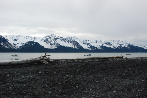 Discover Hidden Beaches on Alaska's Kenai Peninsula