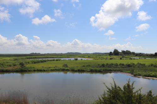 7 Rural Delaware Towns That Are So Worth The Drive