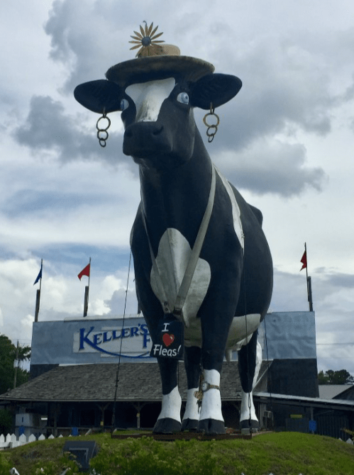 Keller’s Flea Market In Georgia: Savannah Flea Market