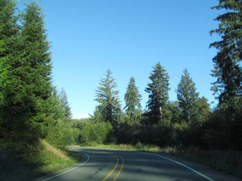 Top 8 Scenic Drives in Washington State