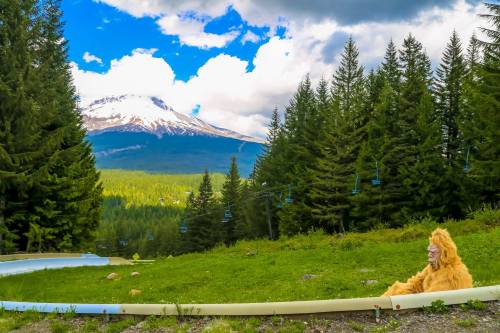 The Mountain Slide In Oregon That Will Take You On A Ride Of A Lifetime
