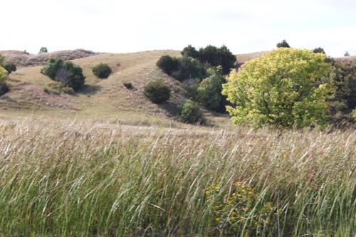 The Nebraska Sandhills Are The Most Beautiful Dunes In America