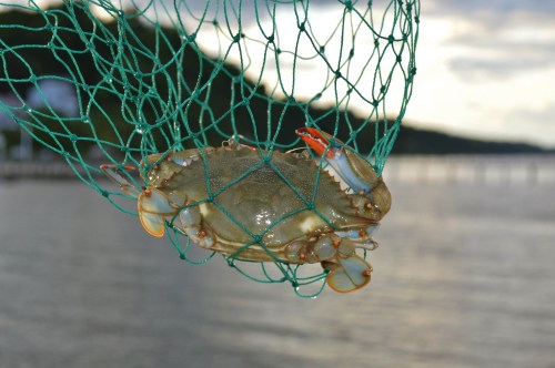 13 Weird Maryland Slang Terms That Might Leave You Flummoxed