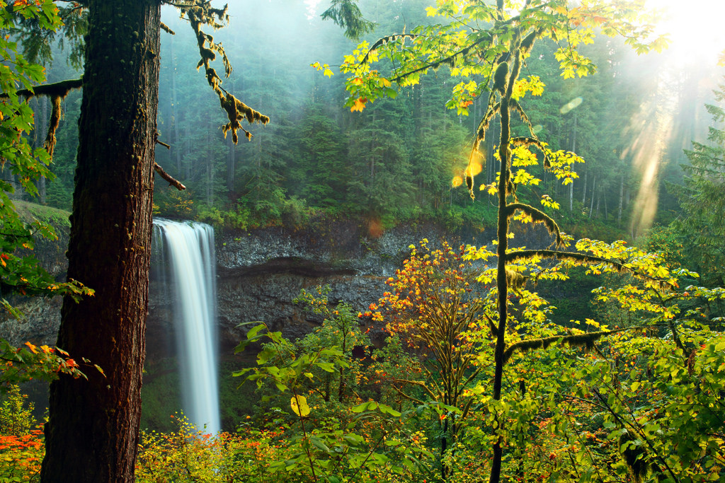 These Are The 11 Best Summer Day Trips In Oregon