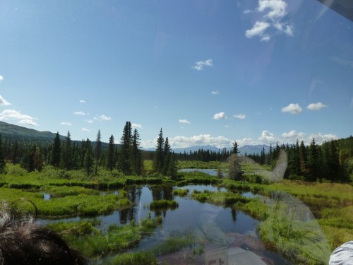 This Amazing Glass Top Train Ride In Alaska Is Gorgeous