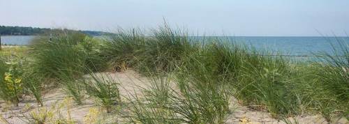 These Sand Dunes In Ohio Are An Unexpected Hidden Gem