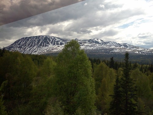 This Amazing Glass Top Train Ride In Alaska Is Gorgeous