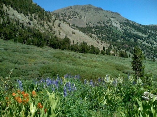 The Nevada Nature Attractions You Didn't Know You Needed