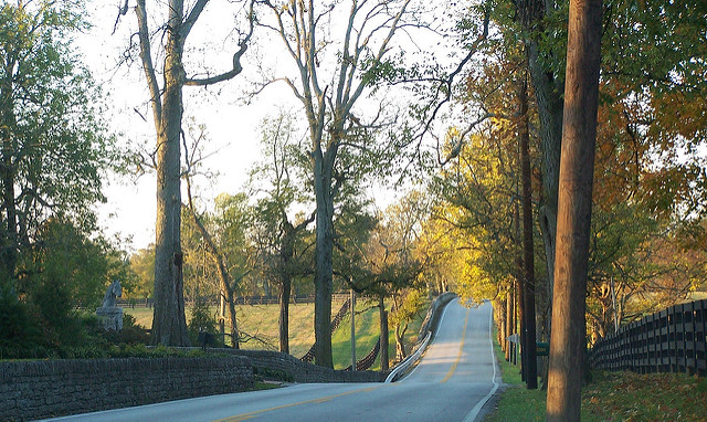 You Won’t Believe Everything You’ll Find Along This Classic Kentucky Road