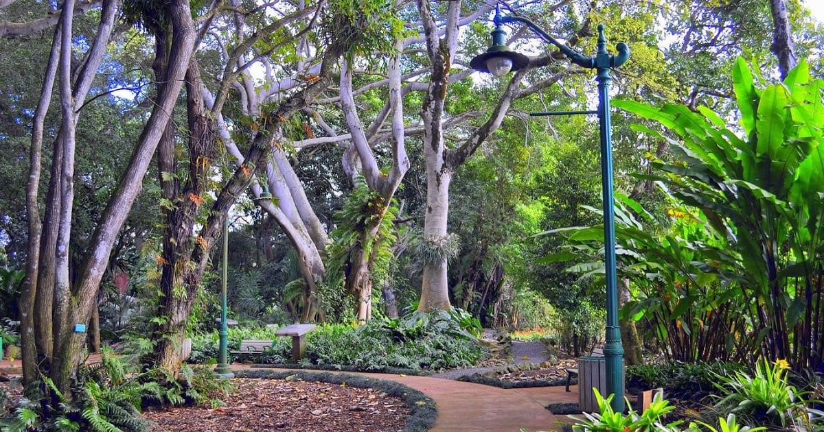 Wahiawa Botanical Garden On Oahu Feels Like A Fairy Tale