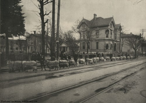 Check Out These 10 Historic Photos Of Portland, Oregon