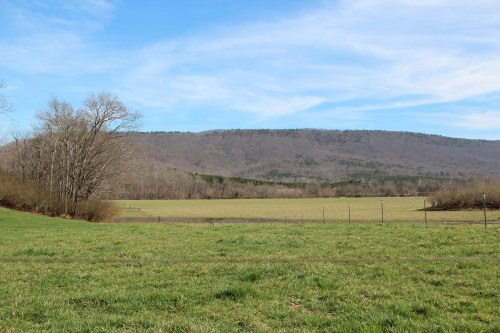 Top 10 Scenic Drives in Georgia for an Unforgettable Road Trip