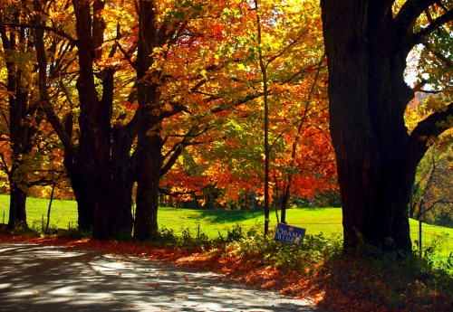 7 Best Scenic Drives in Vermont for Stunning Views
