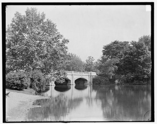 These 11 Old Photos Of Buffalo Let Us Peek Into The Past