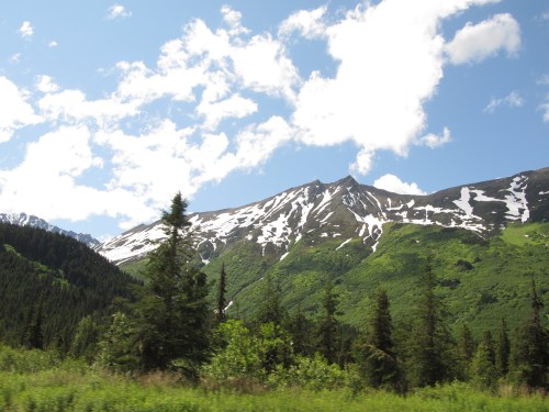 The Ghost Forest Alaska Is Hauntingly Beautiful