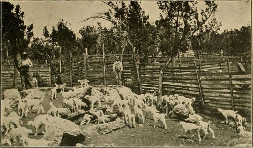 13 Of The Oldest Photos Of Arkansas That Are Incredible