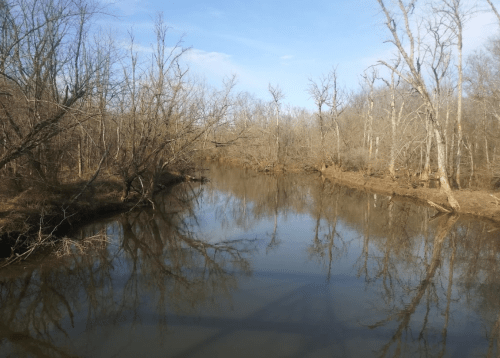 Maryland Goatman: The Urban Legend That Will Keep You Awake