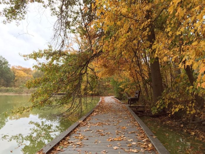 10 Of The Best Hikes In Ohio To Take In The Fall