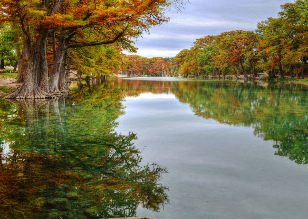 This Map Will Show You When To See Fall Colors In Texas