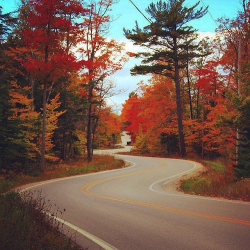 Top 12 Scenic Drives in Wisconsin for Breathtaking Views
