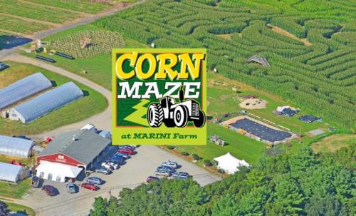 Get Lost In The 13 Best Corn Mazes In Massachusetts This Fall